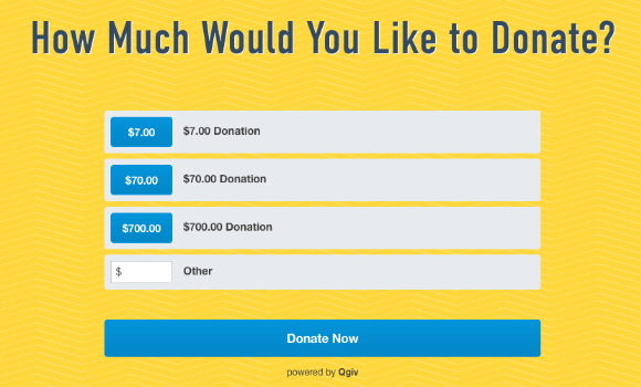 28 Nonprofit Donation Page Best Practices (That Work Fast) - Qgiv Blog