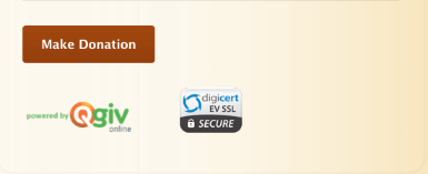 28 Nonprofit Donation Page Best Practices (That Work Fast) - Qgiv Blog